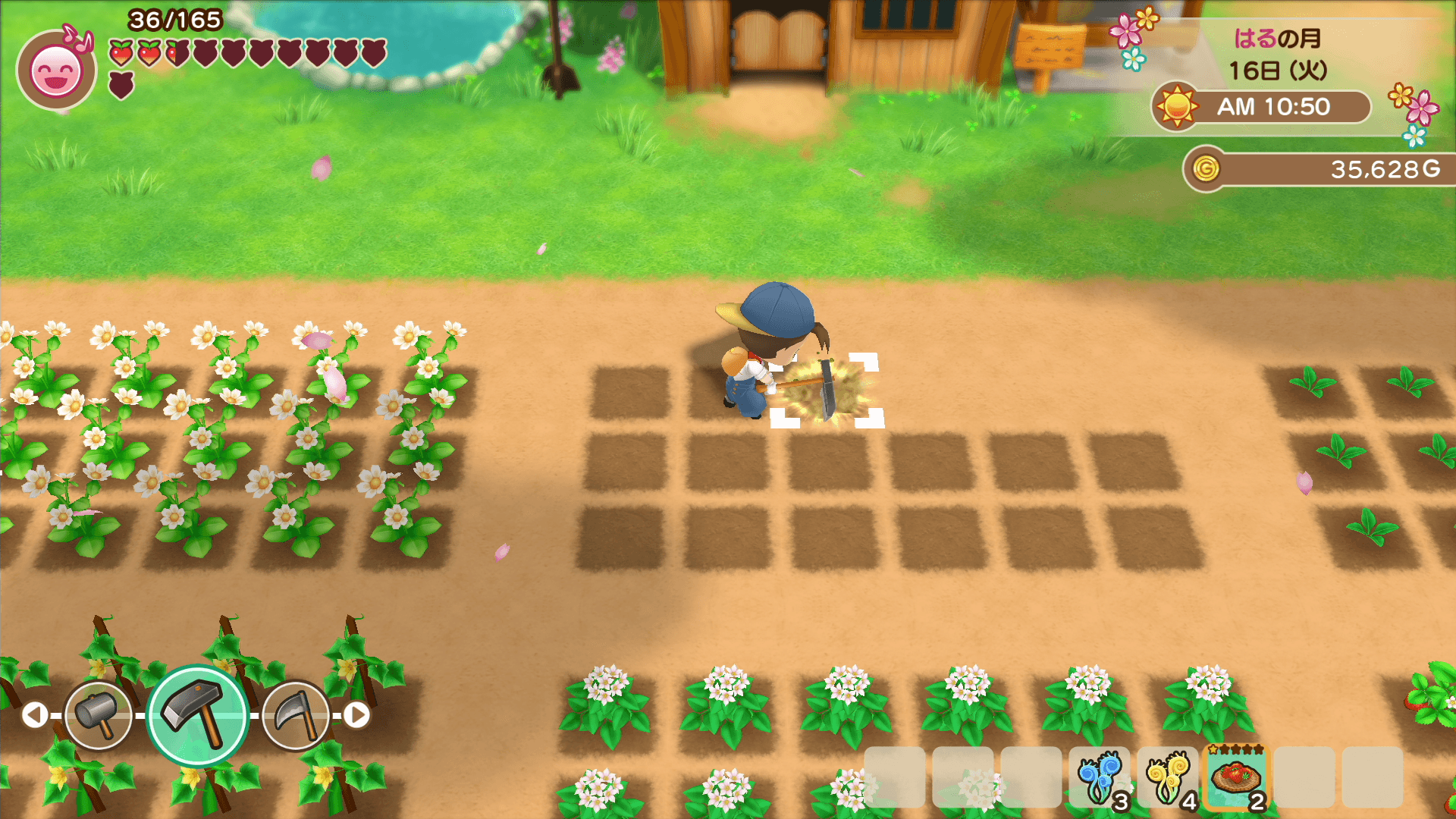 Harvest moon friends of mineral town switch - passahan Harvest moon friends of mineral town switch - passahan